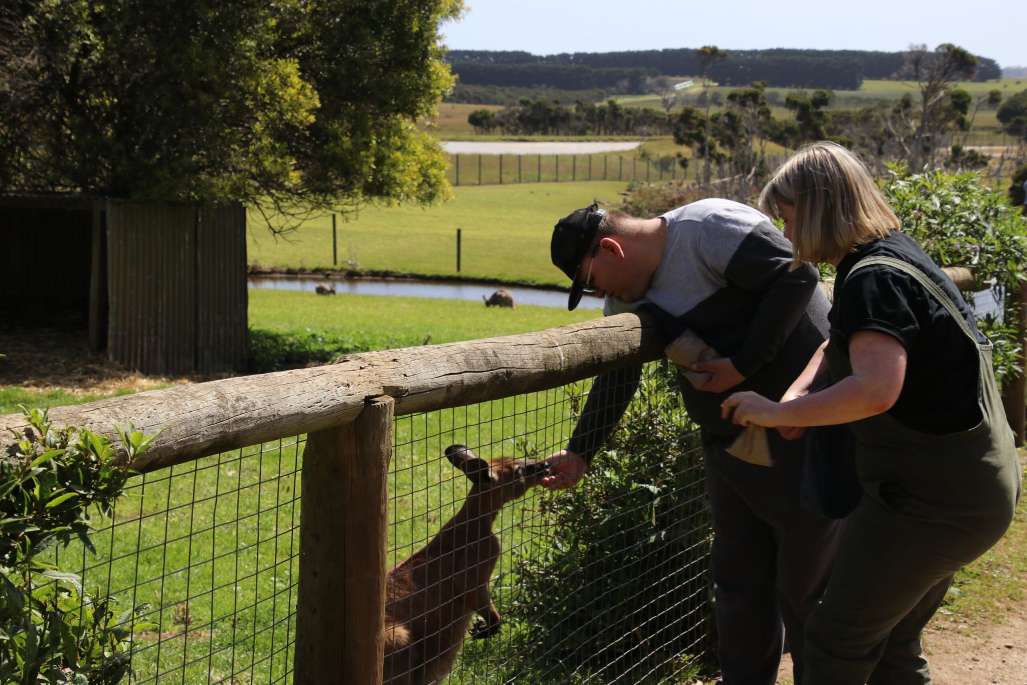 The Importance of Advocacy in NDIS Planning